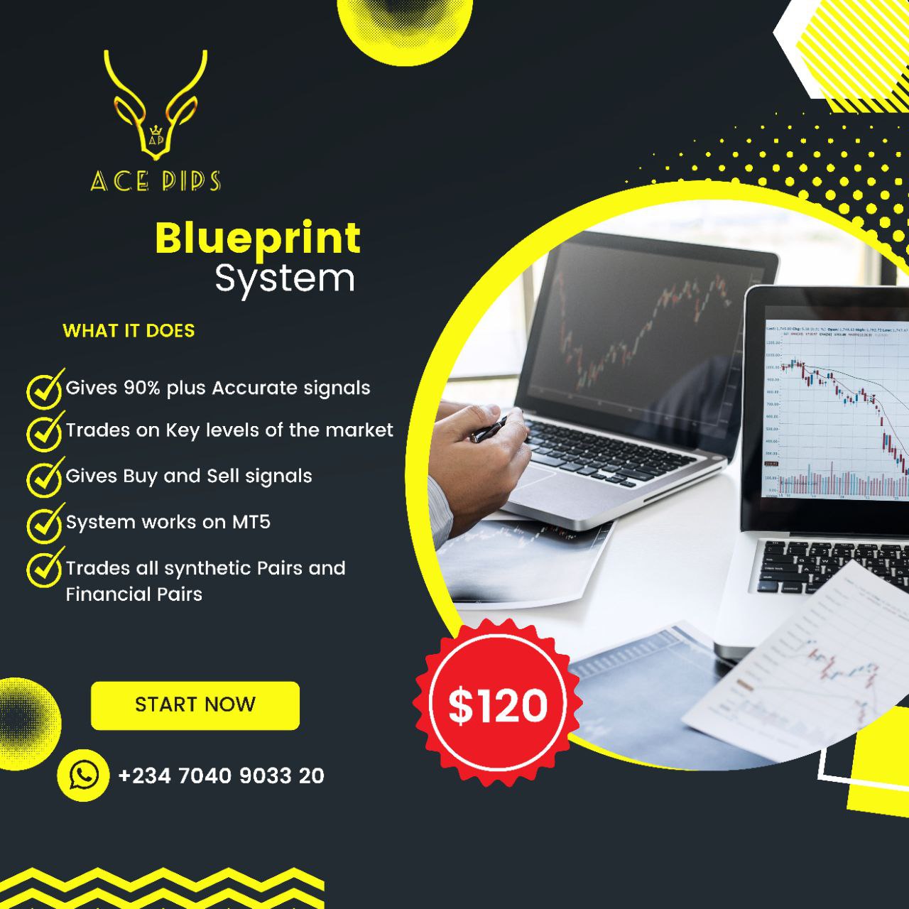 Buy BLUEPRINT MT5 SYSTEM by Wisdom Stores on Selar