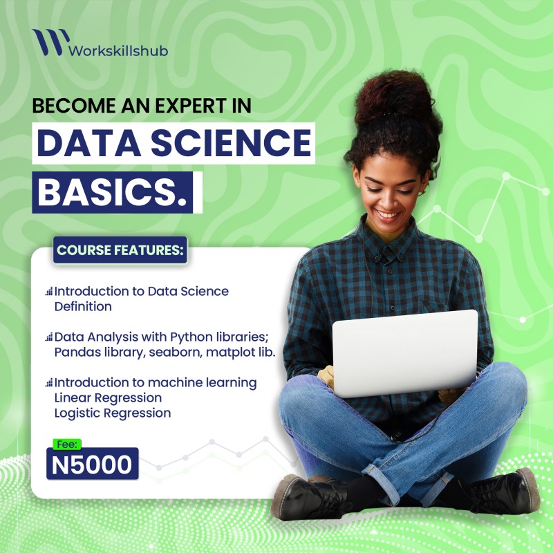 Buy Basics of Data Science Course by Work Skills hub on Selar