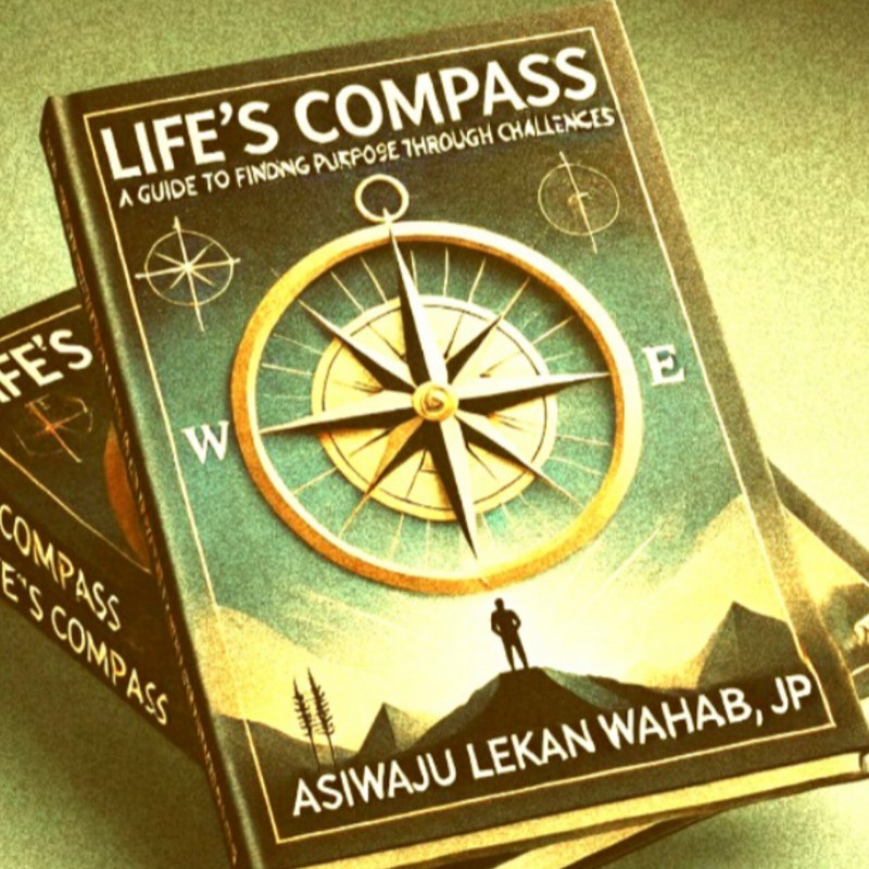 Buy LIFE'S COMPAS: A GUIDE TO FINDING PURPOSE THROUGH CHALLENGES by ...