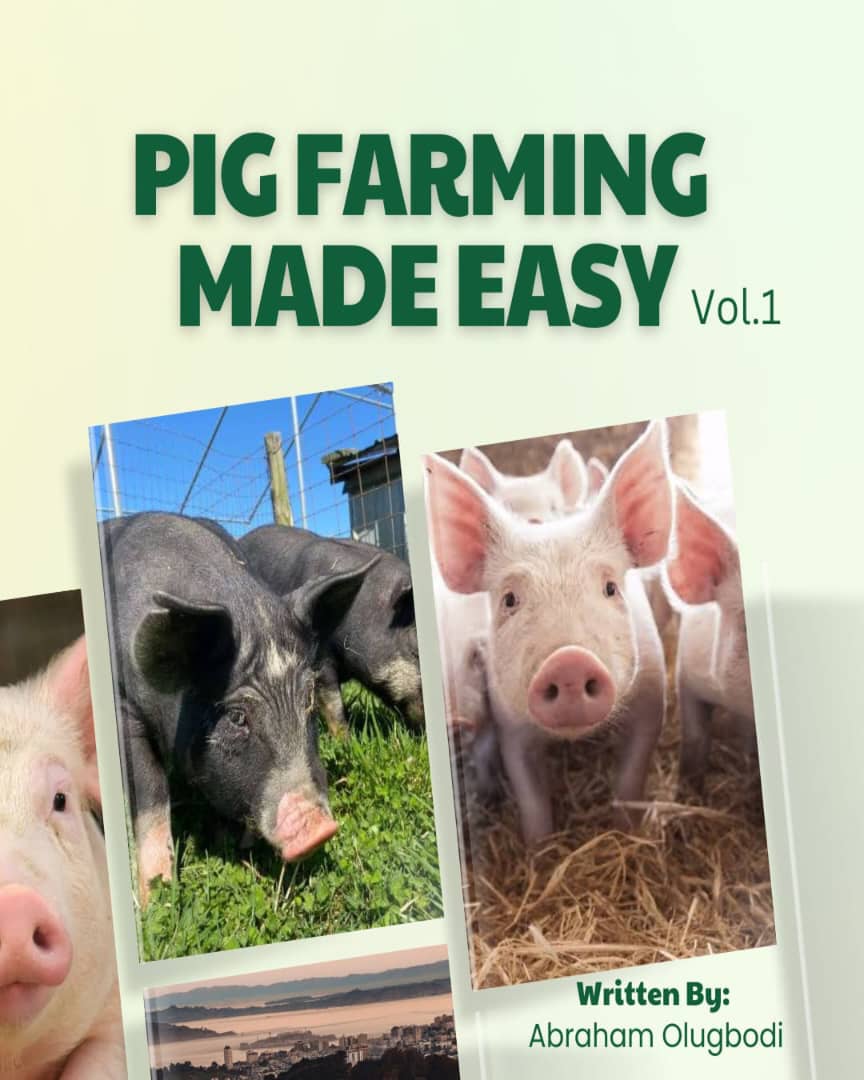 Buy PIG FARMING MADE EASY [Vol.1] by Olugbodi Gbenga Abraham on Selar