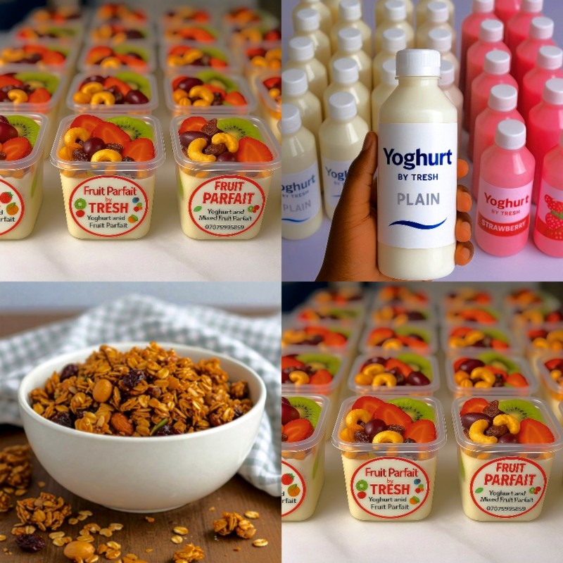 Buy Yoghurt and fruit parfait business class by Ejemen Okhide on Selar