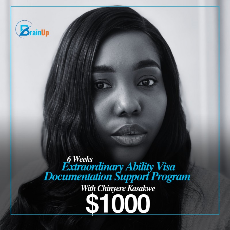 Buy US Extraordinary Ability Visa Documentation Support Program by Brainup Solutions LLC on Selar