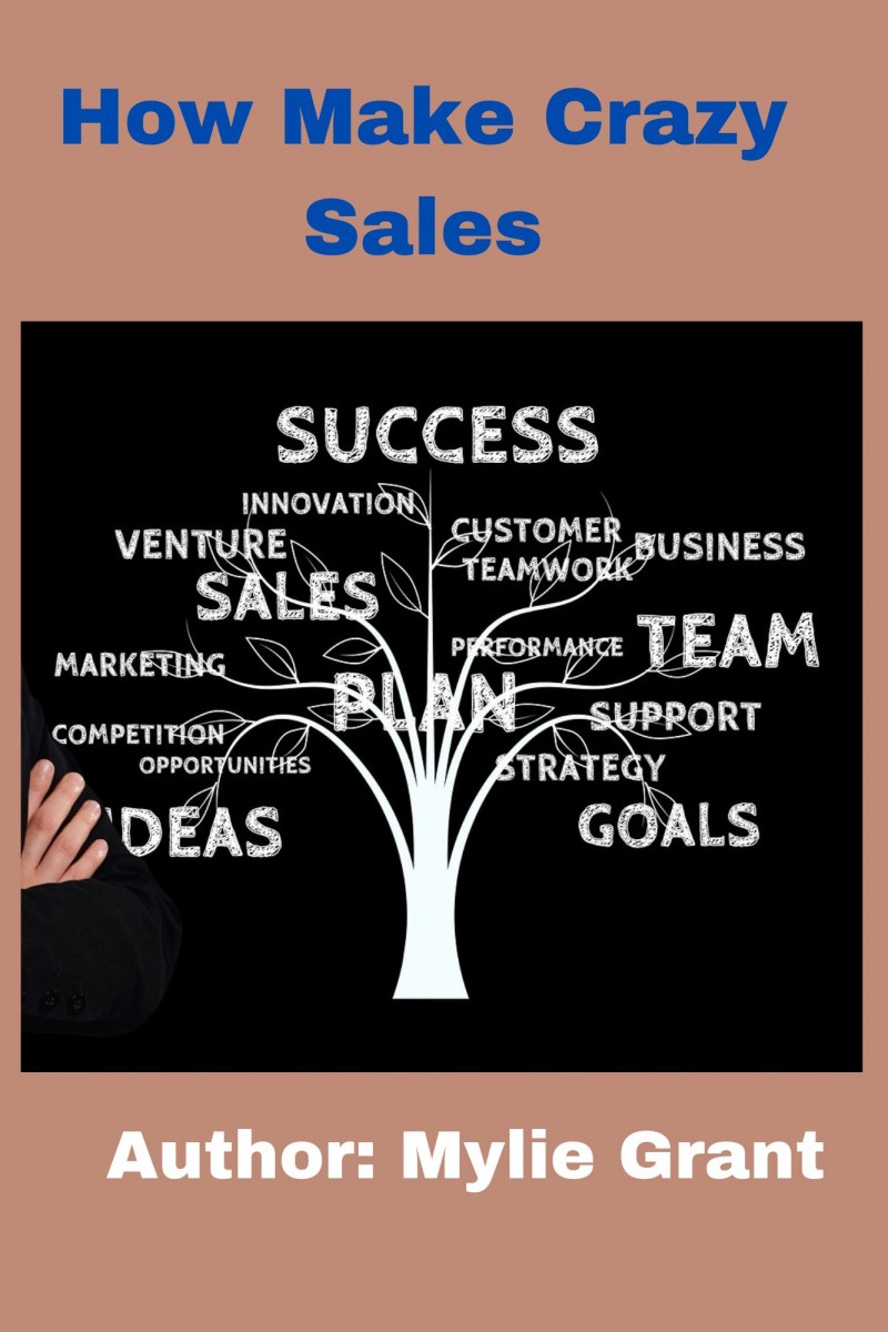 Buy How To Make Crazy Sales by Nwachukwu Chibueze Caleb on Selar