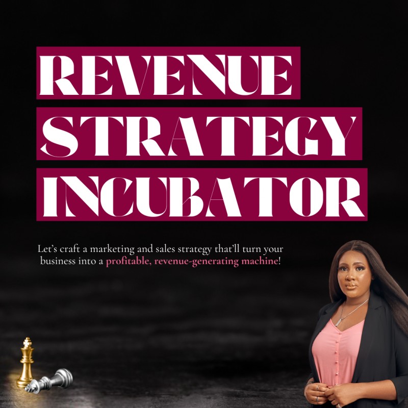 Buy Revenue Strategy Incubator by Piriye Dede of Content Marketing Babe ...
