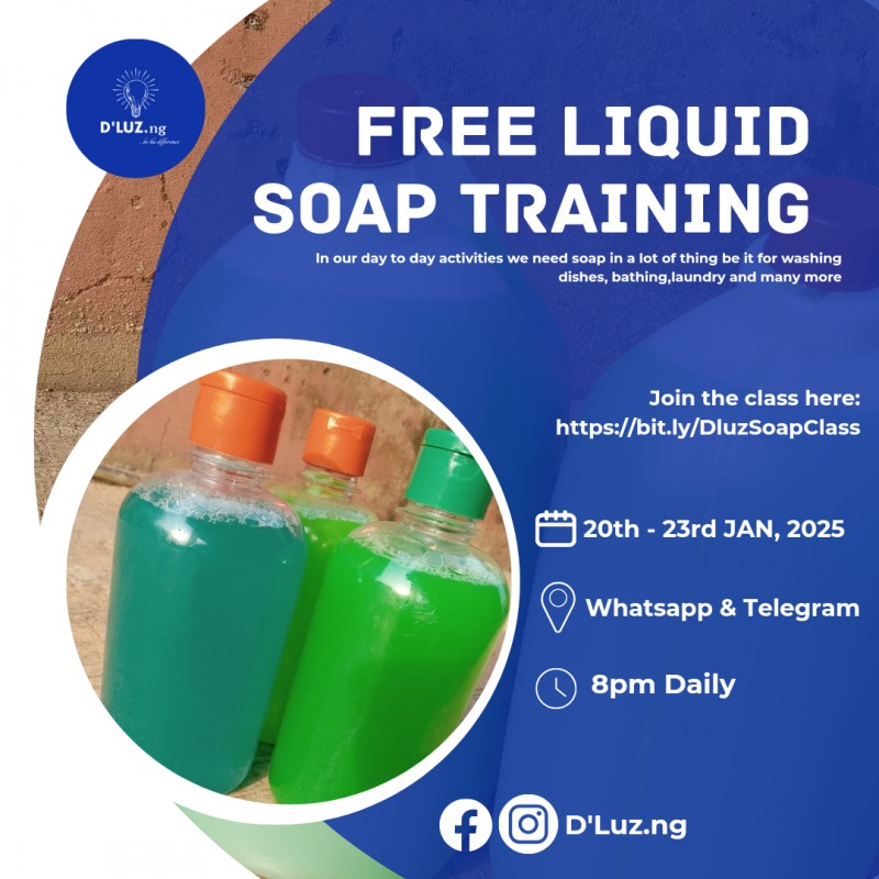 Get FREE LIQUID SOAP TRAINING by D'LUZ.ng on Selar