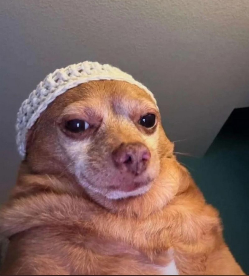 Buy Peace Deborah by Obijole Damilola on Selar