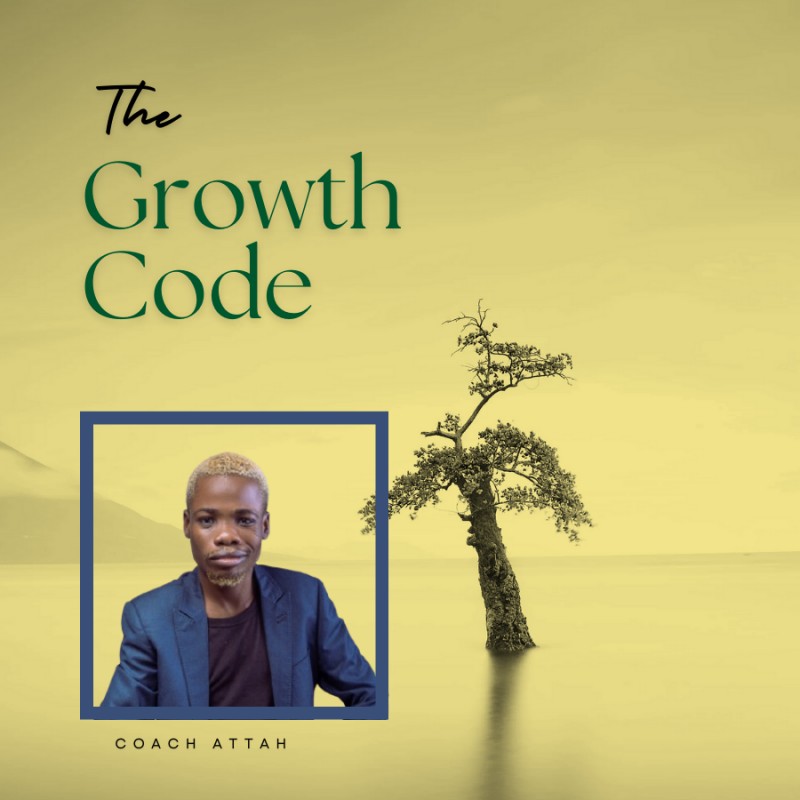 Buy The Growth Code: The 12-Month Personal Development Plan for CEOs & Entrepreneurs by Digital ...