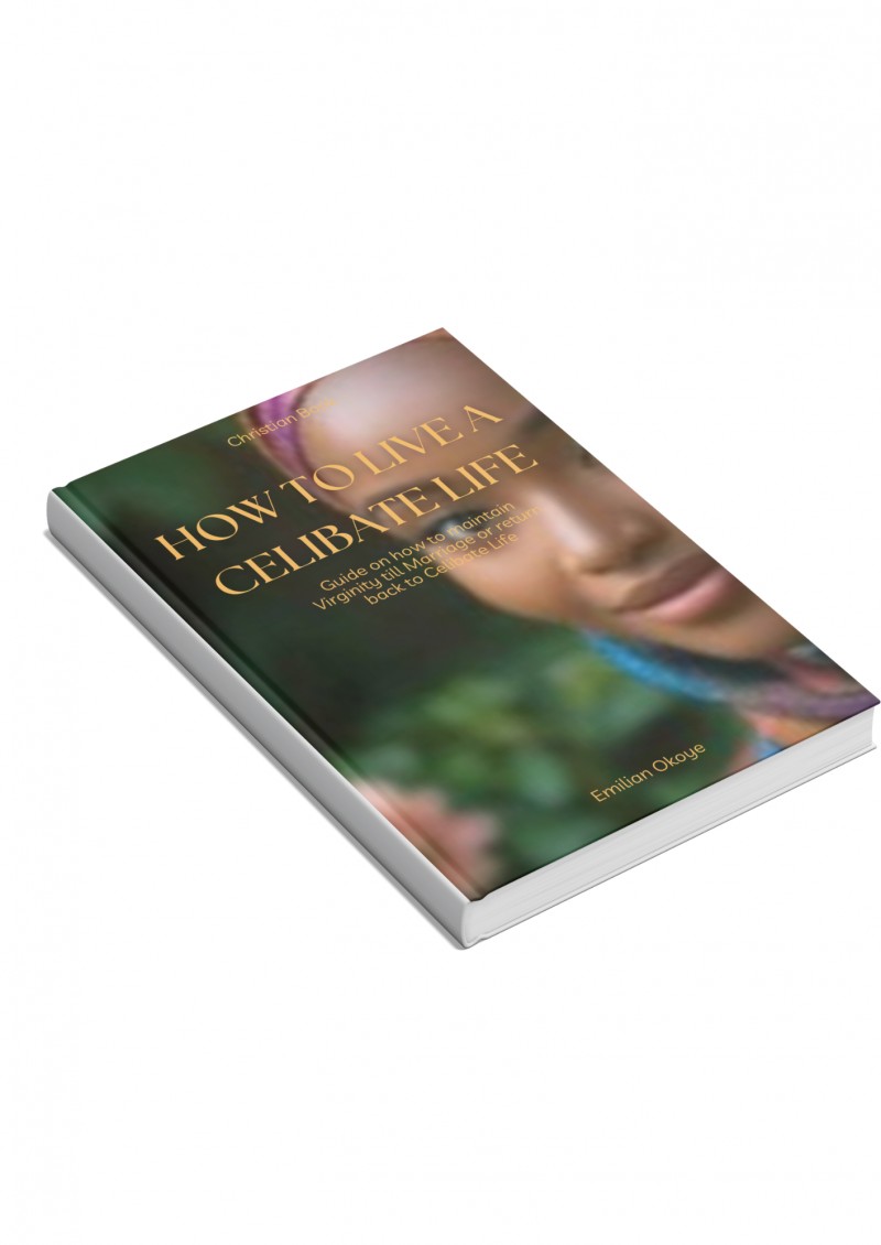 Buy How to live a Celibate Life by Emilian Okoye on Selar