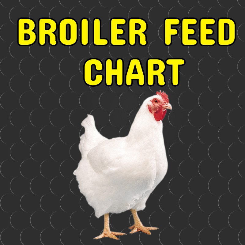 Get Broiler Feed Chart (Manual Guide in Word) by Gloser Poultry on Selar