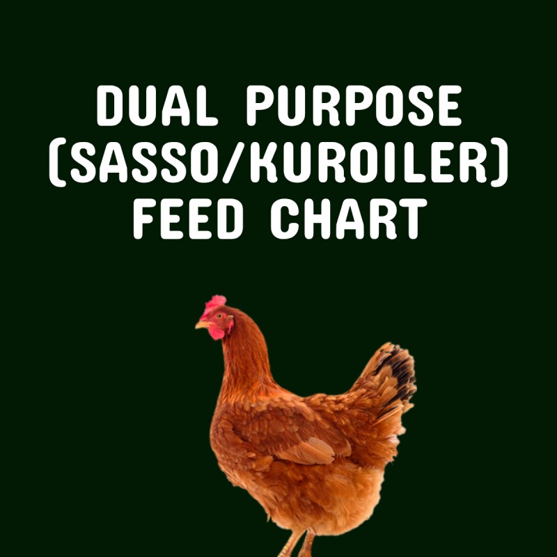 Get Dual Purpose Chicken Feeding Chart (SASSO, KUROILER) by Gloser ...
