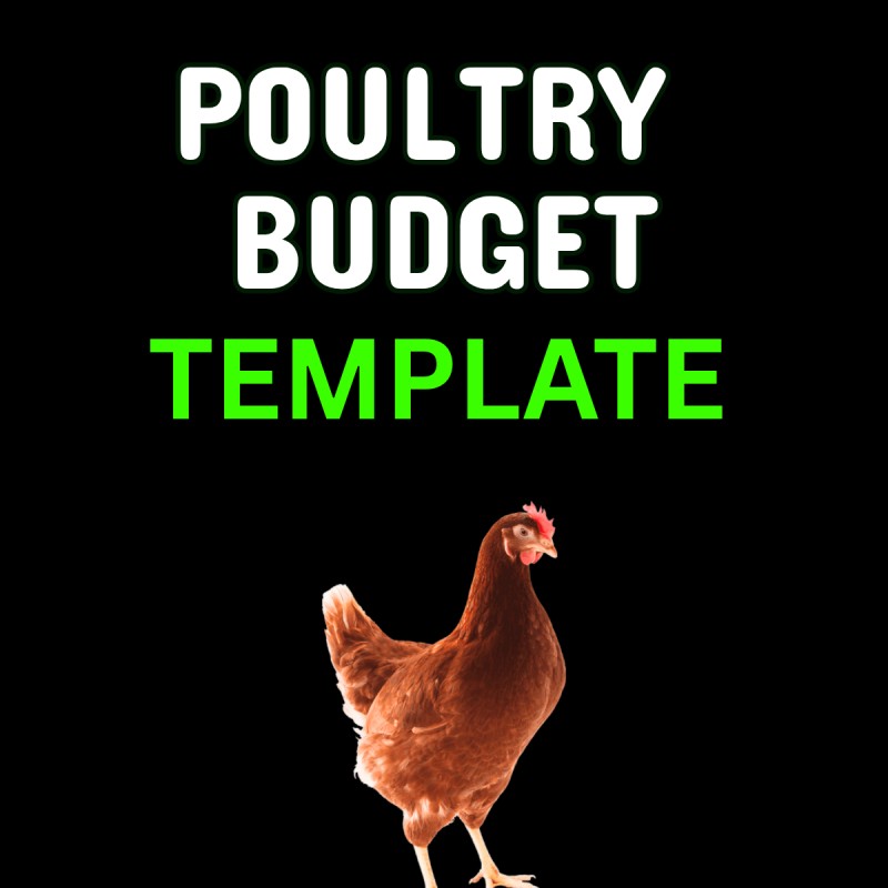 Get Poultry Budget Template by Gloser Poultry on Selar