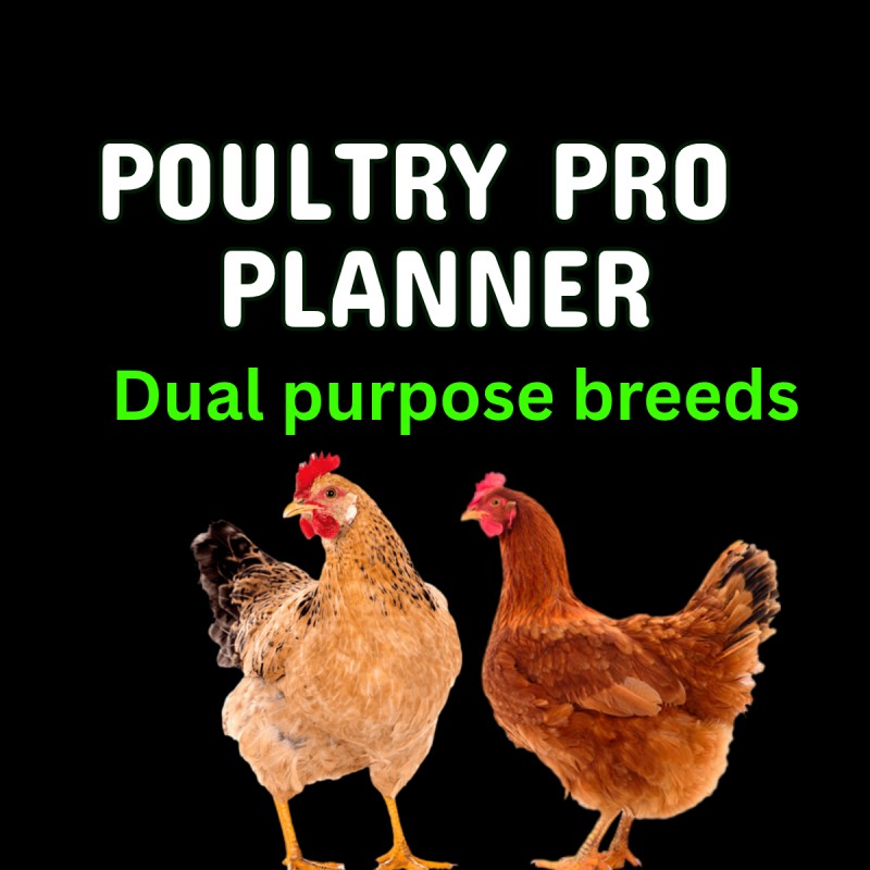 Buy Poultry Pro Planner for dual purpose birds (Excel file) by Gloser ...