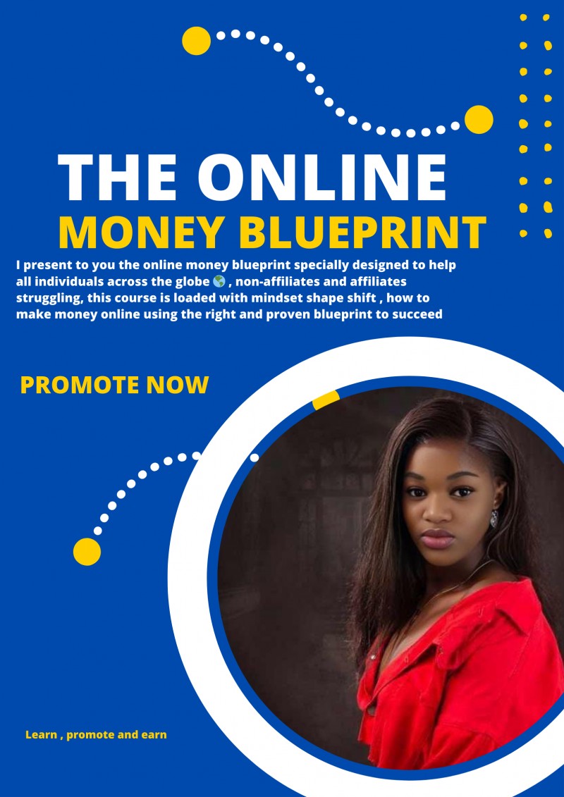 Buy THE ONLINE MONEY BlUEPRINT by Ani Somtochukwu on Selar