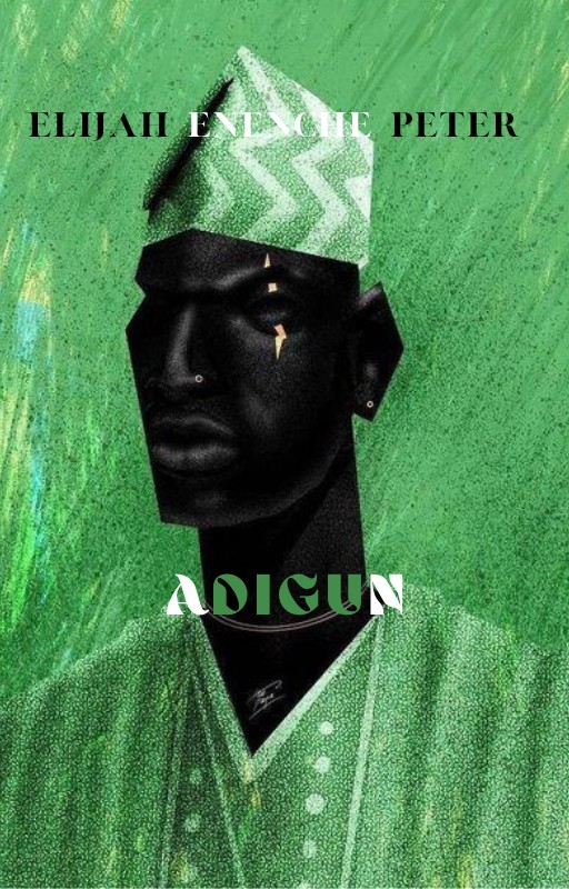 Buy ADIGUN by Elijah Enenche Peter on Selar