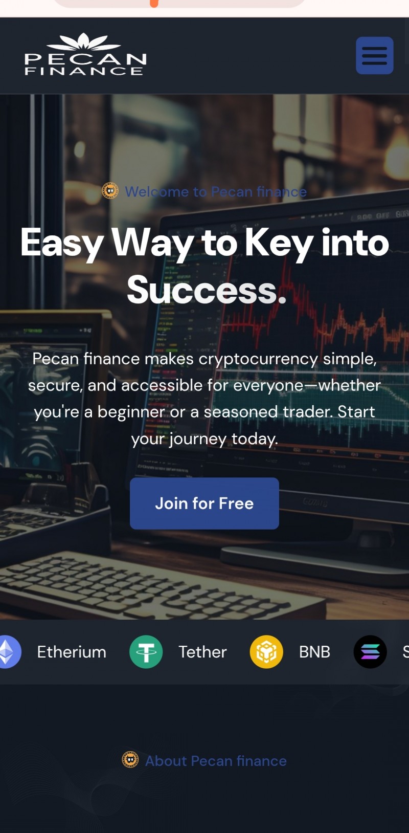 Buy HOW to DESIGN an INVESTMENT WEBSITE Automatic return, Withdrawal ...