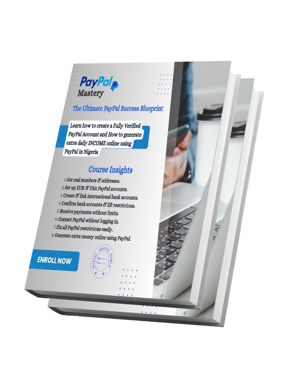 Buy The Ultimate PayPal Success Blueprint by Omogbai John on Selar