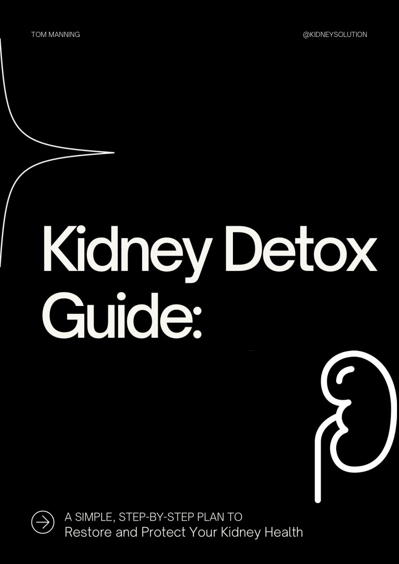 Buy KIDNEY DETOX GUIDE by Kidneysolution on Selar