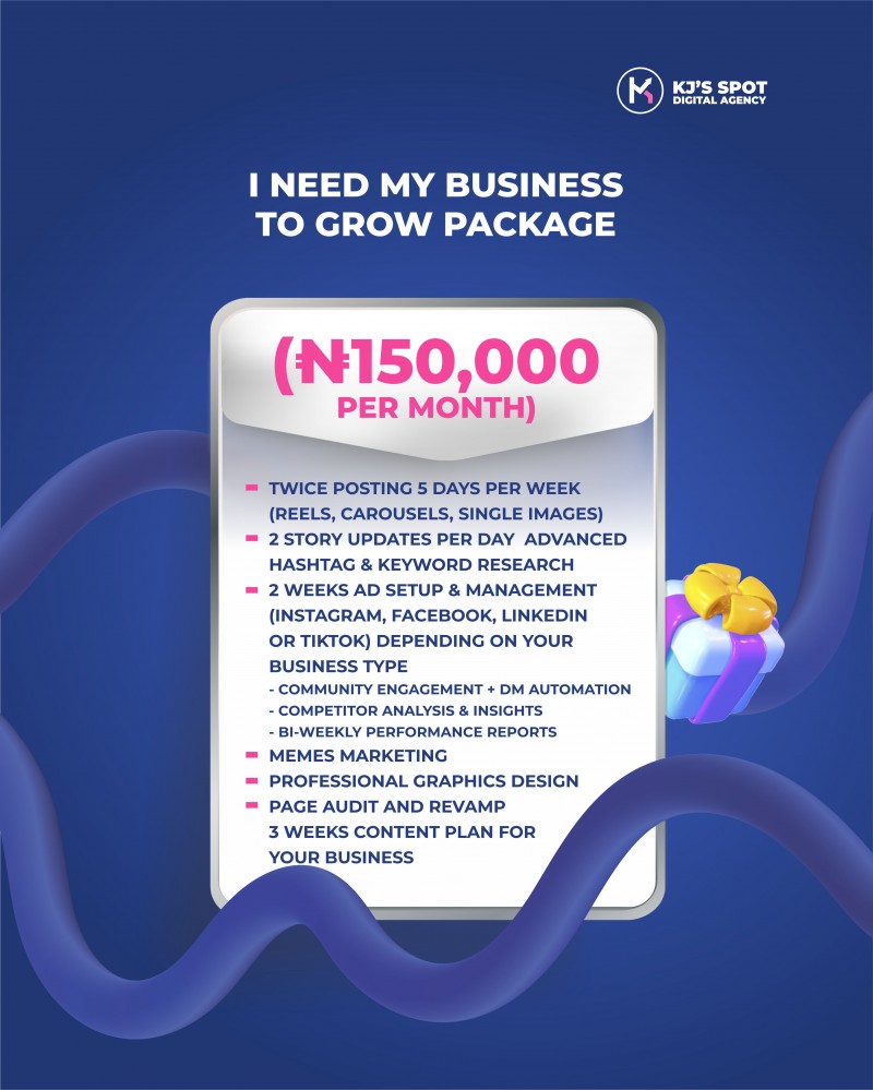 Buy I Need My Business To Grow Package ( ₦150,000 per month) by KJ's Spot Digital Agency on Selar