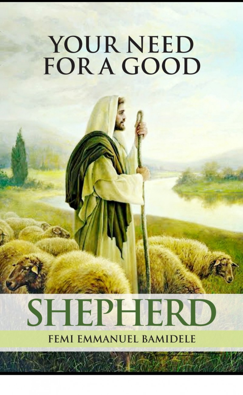 Buy YOUR NEED FOR A GOOD SHEPHERD - FEMI EMMANUEL BAMIDELE by Meridiene ...