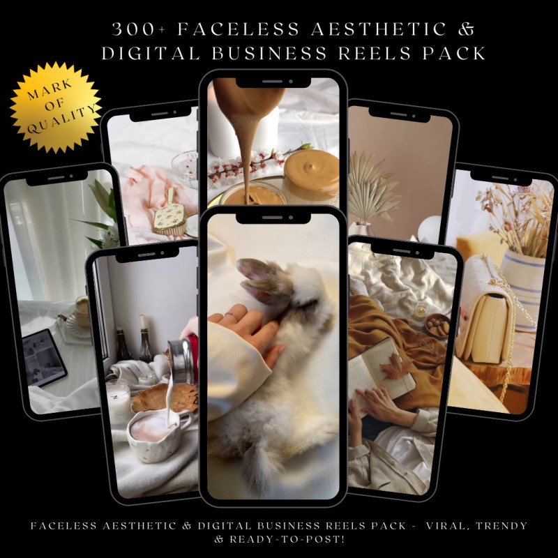Buy 🎨 300+ Faceless Aesthetic & Digital Business Reels Pack – Viral ...