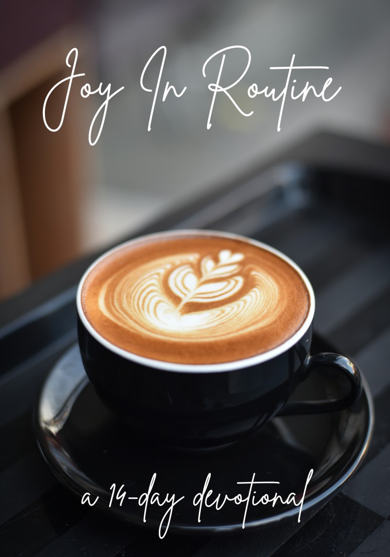 Buy Joy In Routine by Olayinka Joseph on Selar