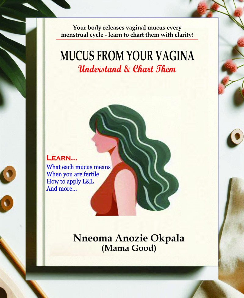 Buy Mucus From Your Vagina - Understand & Chart Them by Nneoma Anozie Okpala on Selar