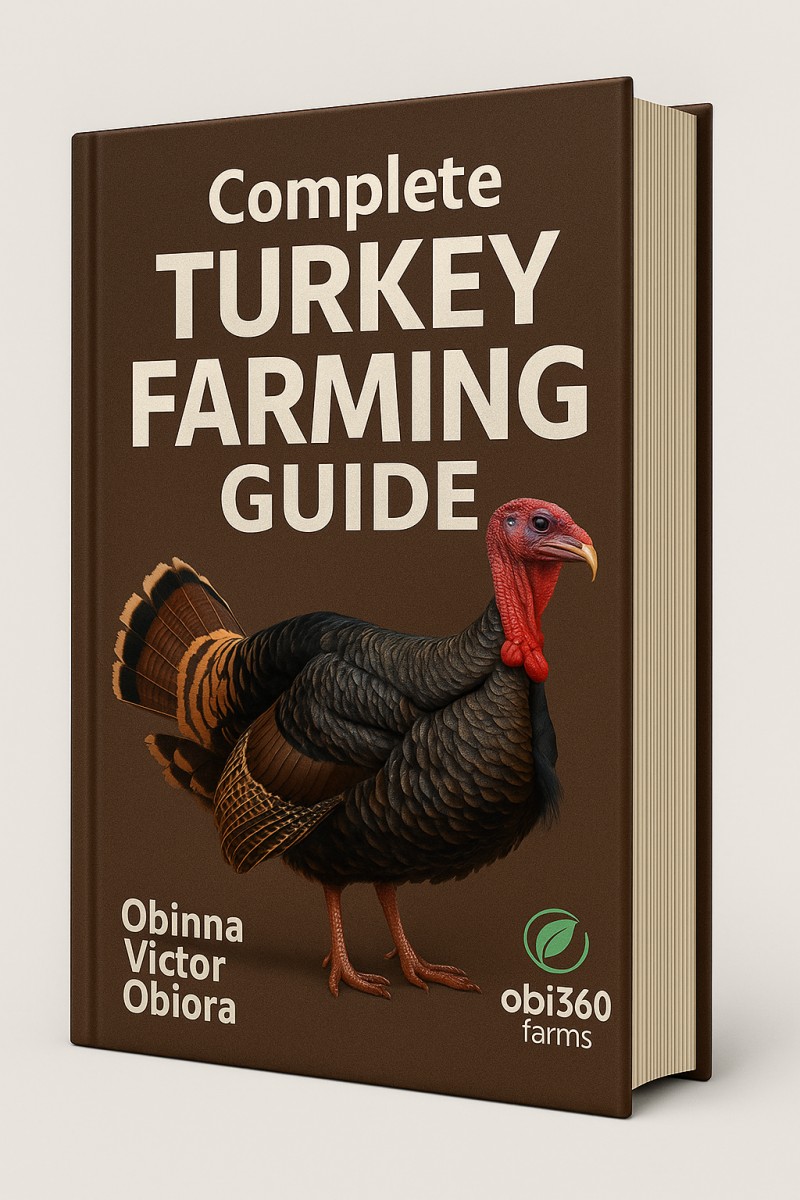 Buy Complete Turkey Farming Guide by Obi360 Farms on Selar
