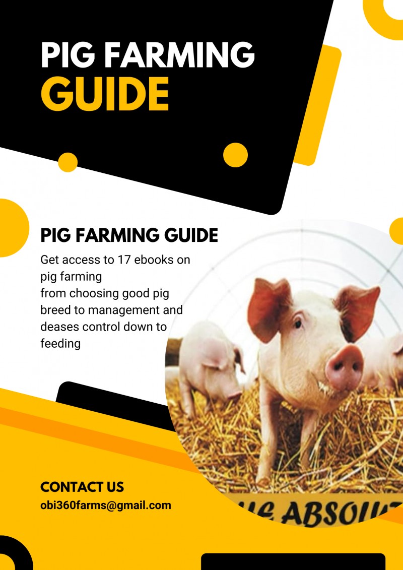 Buy Pig Farming Guide by Obi360 Farms on Selar