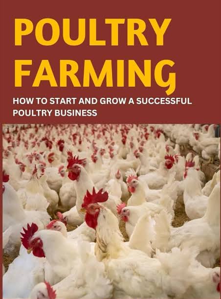 Buy Poultry Farming Guide by Obi360 Farms on Selar