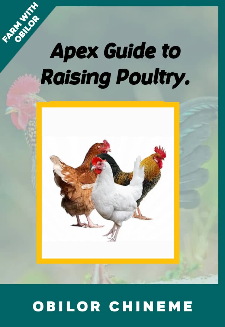 Buy APEX GUIDE TO RAISING POULTRY E-BOOK. by OBILOR AGROW TECH. on Selar