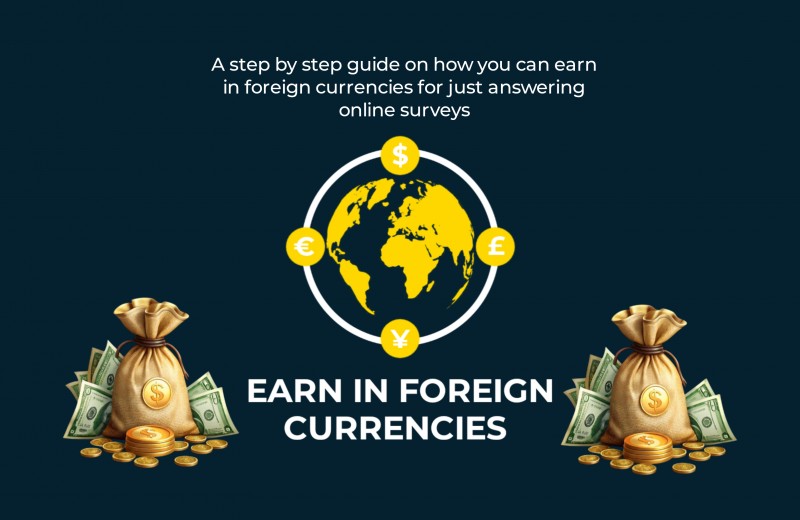 Buy Earn In Foreign Currencies by COACH DINO on Selar