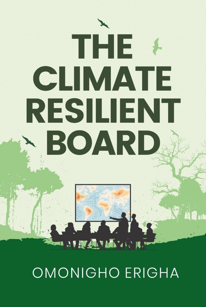 Buy The Climate Resilient Board by Omonigho Erigha on Selar