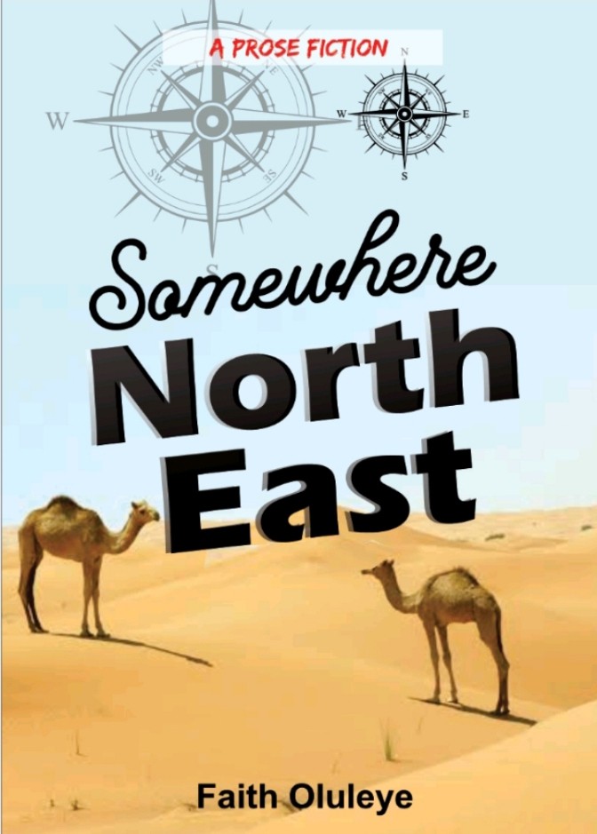 Get Somewhere North-East by Faith Dare on Selar