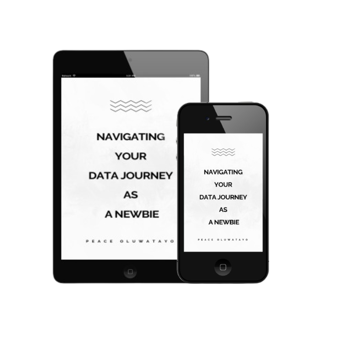 Buy Navigating Your Data Journey As A Newbie By Peace Oluwatayo On Selar