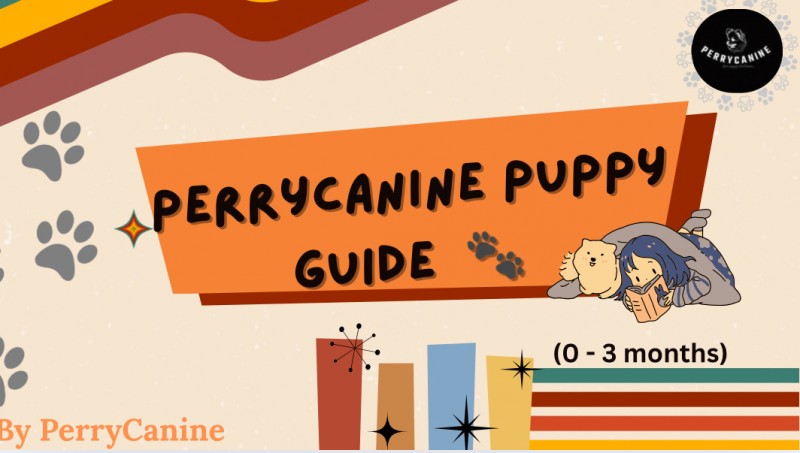 Buy The New Puppy Starter Guide (0–3 Months) by PerryCanineGuides on Selar