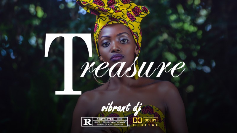 Buy TREASURE by Vybrant Beatz on Selar