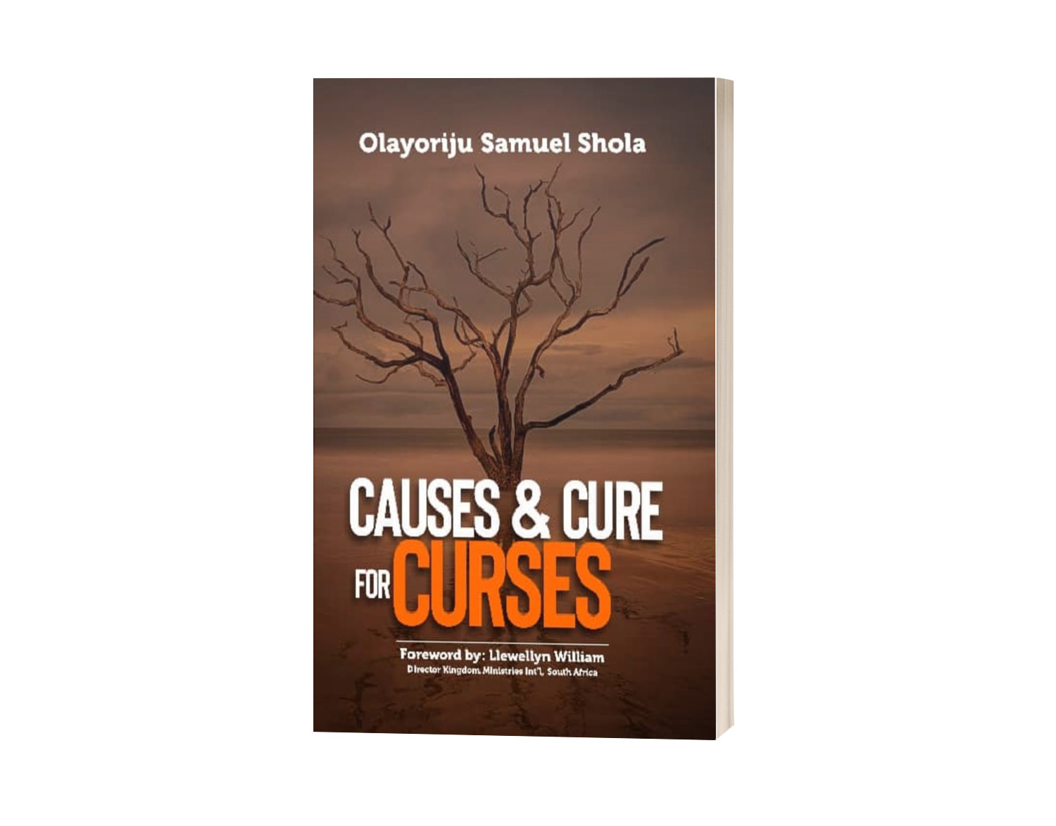 Get CAUSES AND CURE FOR CURSES by Samuel Shola World Outreach ...
