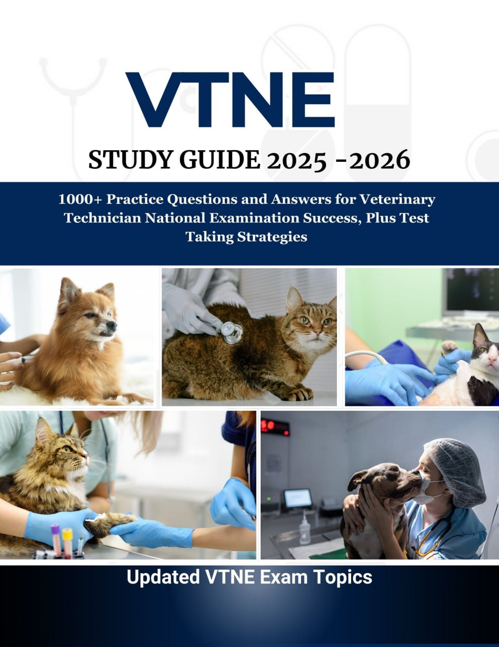 Buy Vtne study Guide by Cletus Gabriel Terhide on Selar