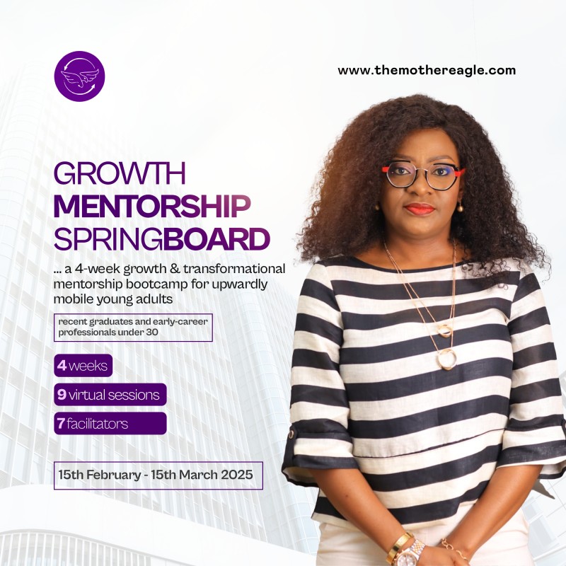 Buy Growth Mentorship Springboard by Jane Oma on Selar