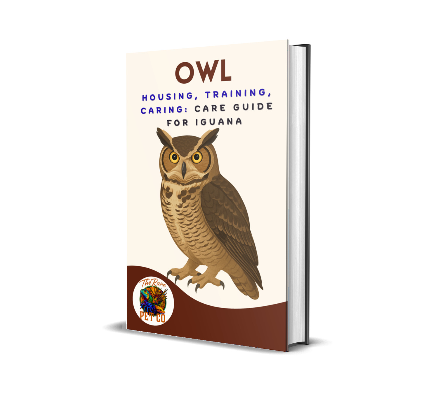 Buy Owl: Housing, Training, Caring: Care Guide For Owl by The Rare Pet Co. on Selar