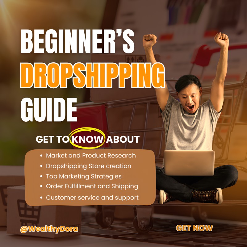 Buy Beginner's Dropshipping Guide by WealthyDora of Dropshipping on Selar