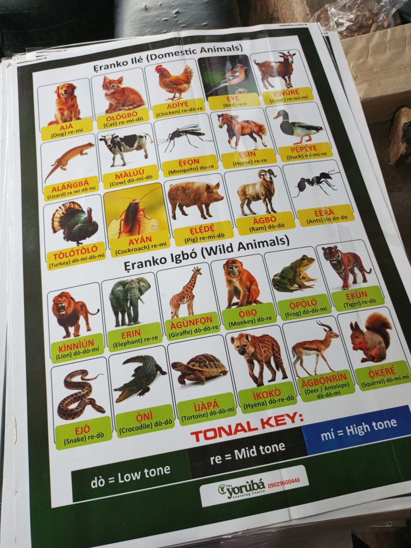 Buy Animal Wall Chart by The Yorùbá Learning Centre on Selar