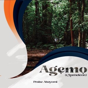 Buy Agemo (Chameleon) by Praise Abayomi on Selar