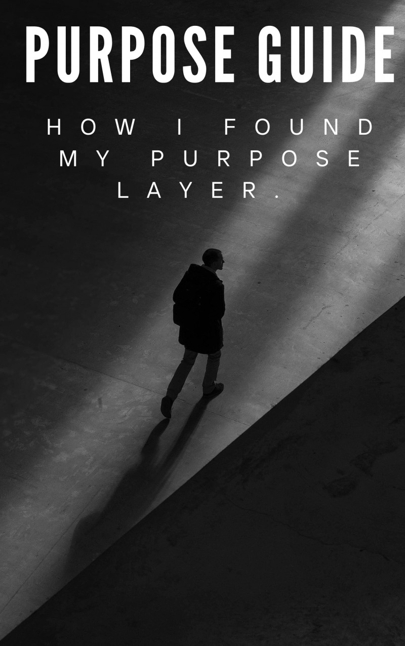 Get A Full Purpose Guide by Abubakar Idris on Selar