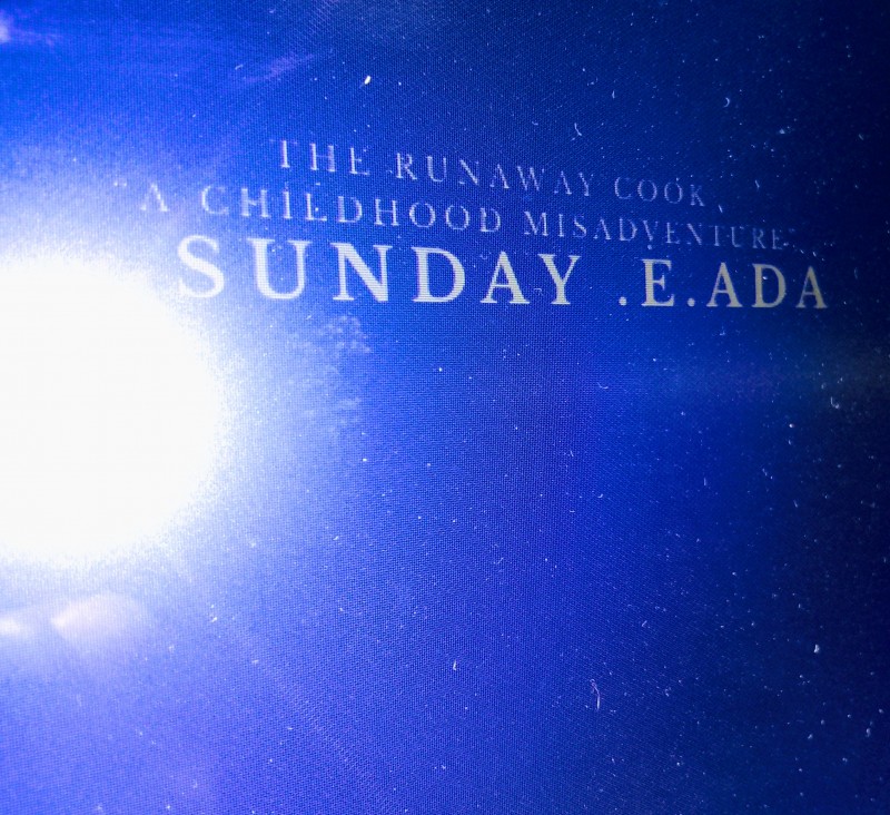 Buy THE RUNAWAY COOK "A Childhood Misadventure" by ADA SUNDAY on Selar