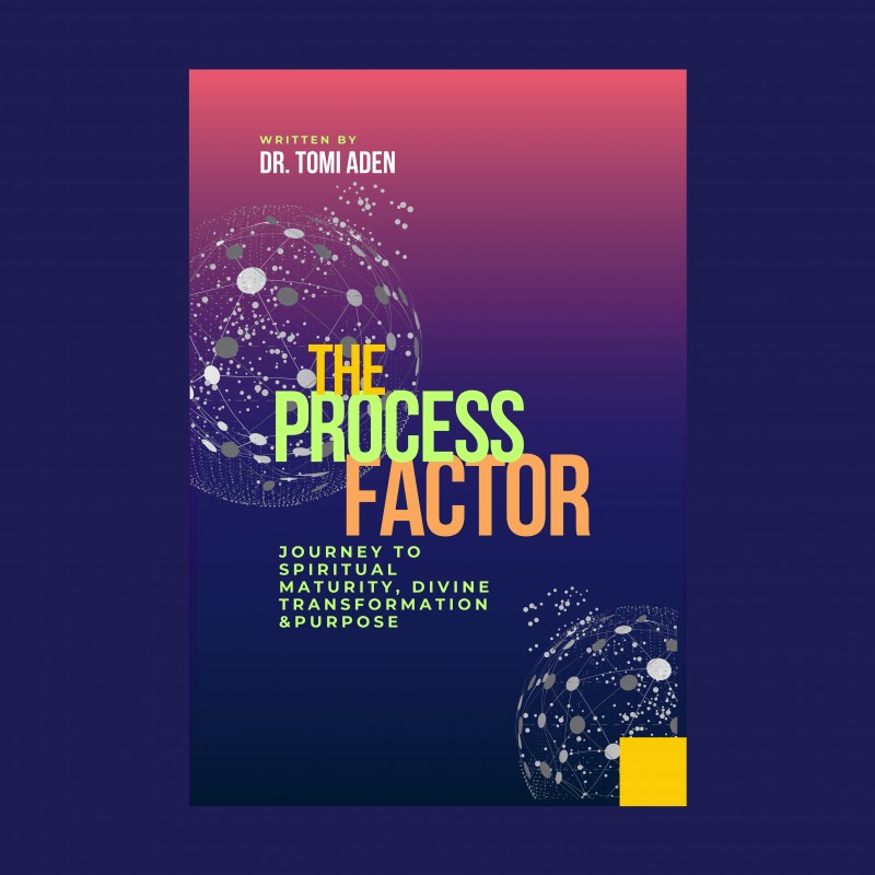 Buy THE PROCESS FACTOR (EBook) by Adetomiwa A on Selar