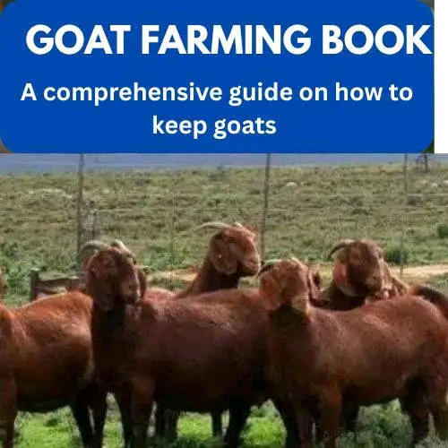 Buy GOAT FARMING BOOK by Agribusiness Experts on Selar