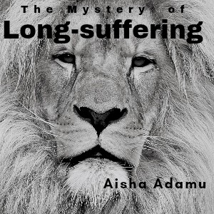 Buy The Mystery of Long-suffering by Aisha Adamu on Selar
