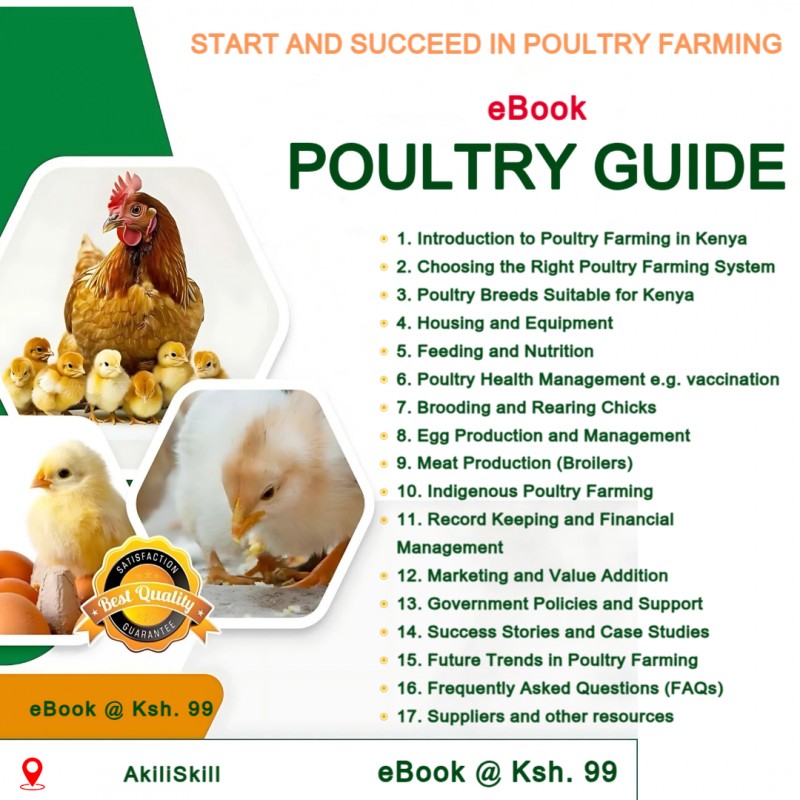 Buy Poultry Farming Guide by Akili Skill on Selar