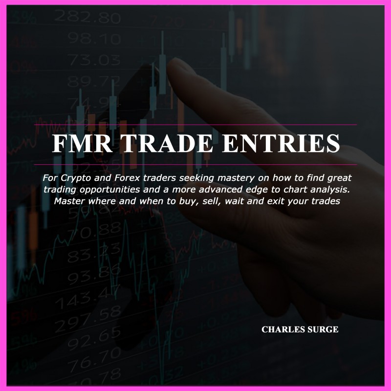 Buy FMR TRADE ENTRIES by Charles Surge on Selar